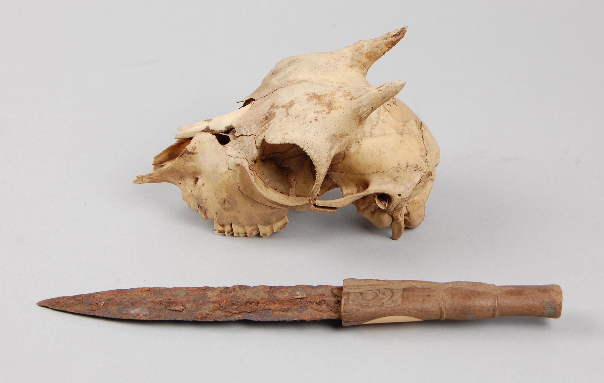 Artifacts as Primary Sources for Studying Material Culture – bogprism